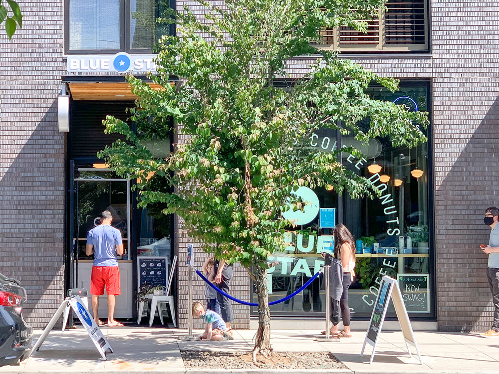 Locations | Blue Star Donuts
